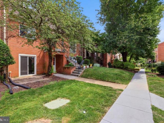 4533 Logsdon Drive # 244