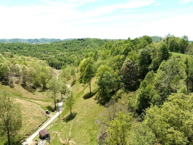 453 Long Hollow Rd, VA