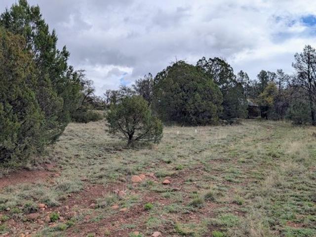 453 N Seeley Dr, Young, AZ 85554