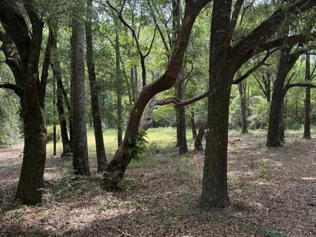 4544 N County Road 61