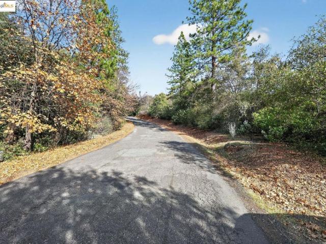 4544 Sheep Ranch RD