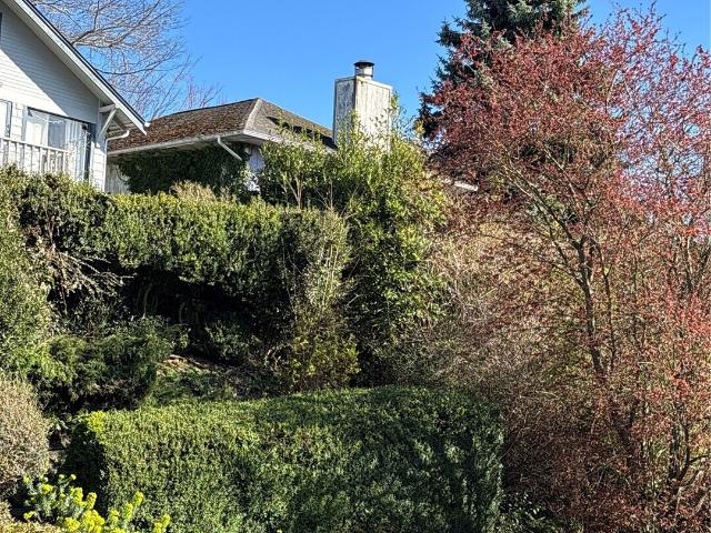 4546 47th Ave SW, Seattle, WA 98116 | Compass