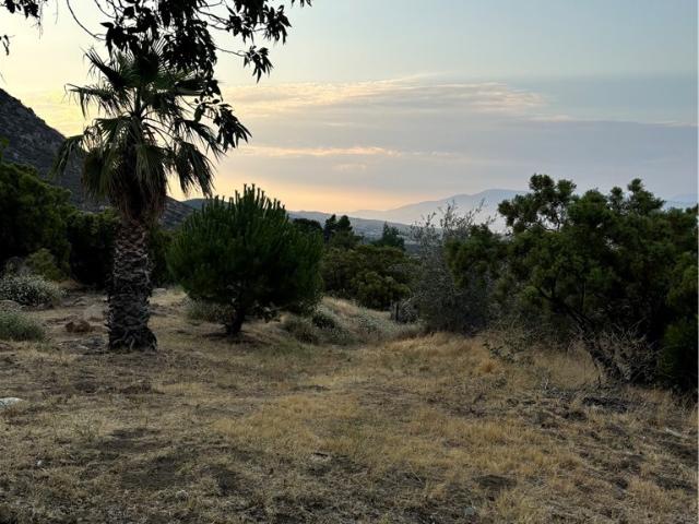45475 Chapman