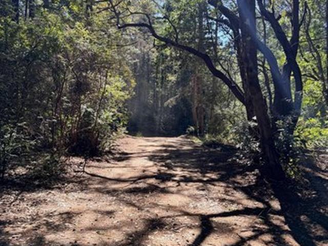 45400 Bill Owens Rd, Point Arena, CA 95468