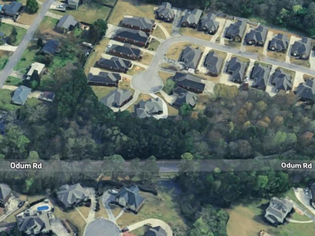 4541 Magnolia Ridge Drive # 1