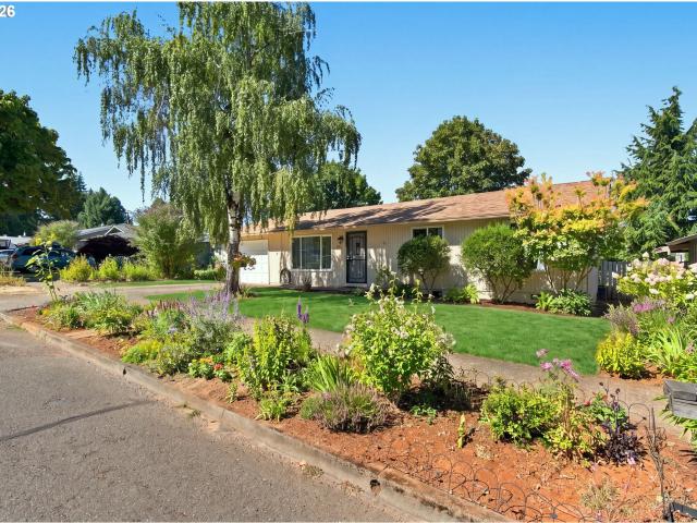 4541 anneka loop