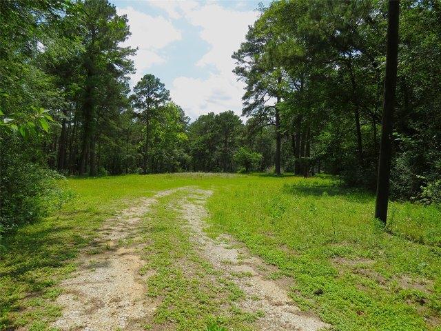 4542 Evergreen Forest Ln, Navasota, TX 77868