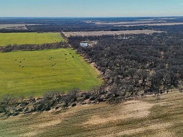 454 County Road 196, Gorman, TX 76454 | MLS #21180 | Compass