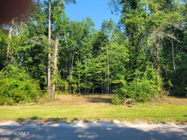 454 Creekview Ln, Leland, NC 28451 | MLS #100553 | Compass