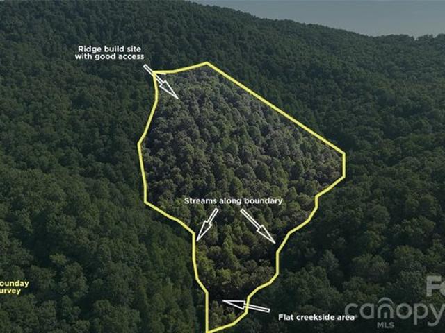 454 Forest Brook Rd, Black Mountain, NC 28711