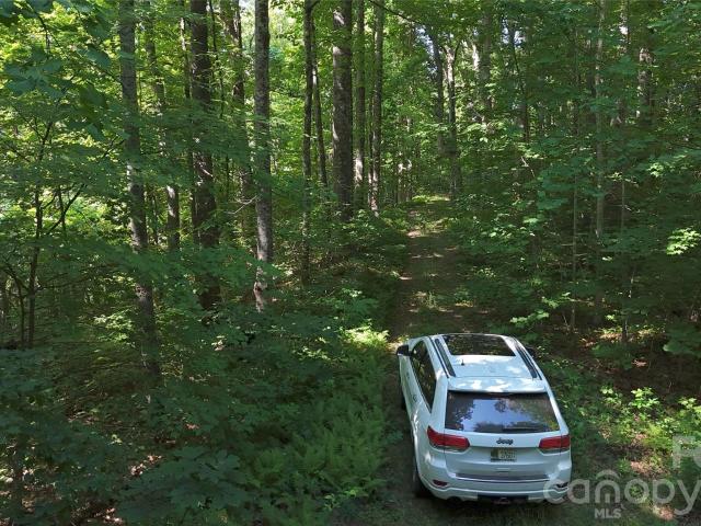 454 Forest Brook Road
