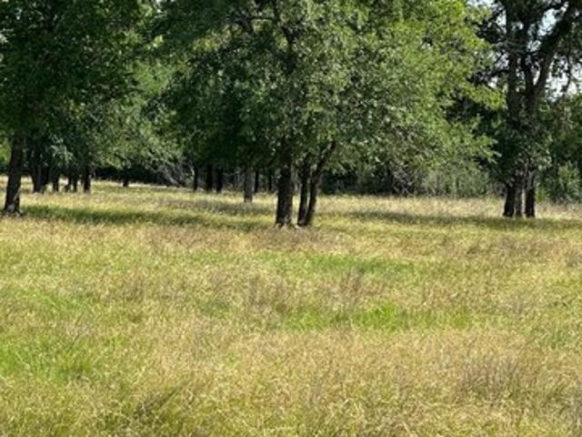 454 Hcr 2129 W, Whitney, TX 76692