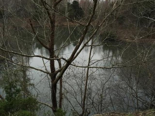 454 Huckleberry Rd, Dawson Springs, KY 42408