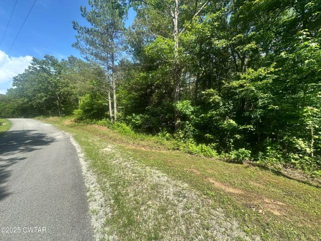 454 Logger Ln, Cedar Grove, TN 38321 | MLS #2502