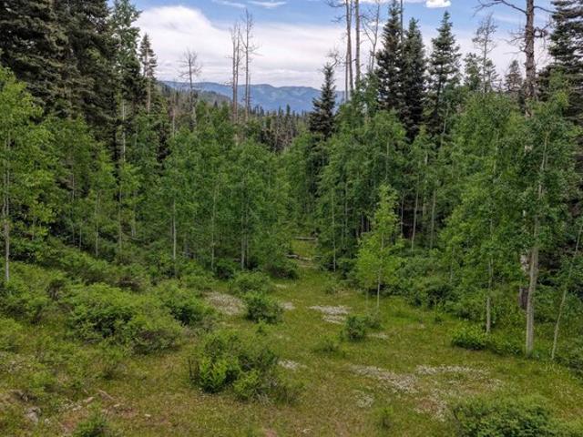4556 Middle Mountain Rd, Vallecito Lake Bayfield, CO 81122