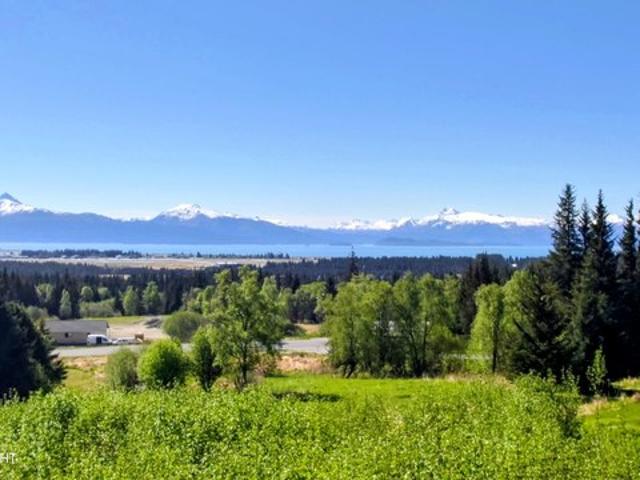 4550 Craftsman Rd, Homer, AK 99603