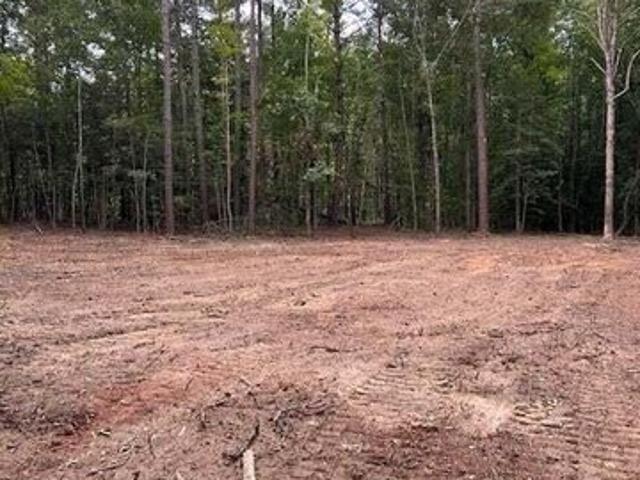 4550 Seymour Rd, Dalzell, SC 29040