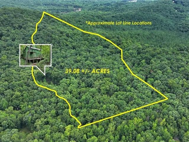 455 Carr Rd, Clarkesville, GA 30523