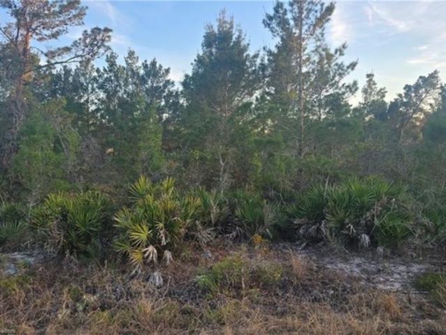 455 Darter Ave, Sebring, FL 33870