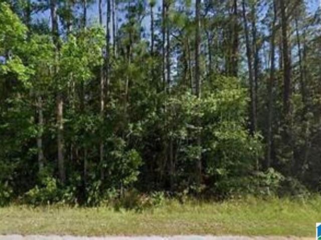 455 Oak Grove Rd Lot 0, Springville, AL 35146