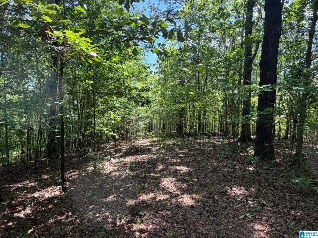 455 Oak Grove Road # 0