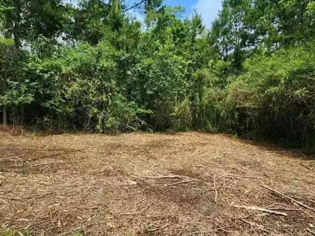 455 N SHELTON BEACH RD, EIGHT MILE, AL 36613 Vacant Land For S.