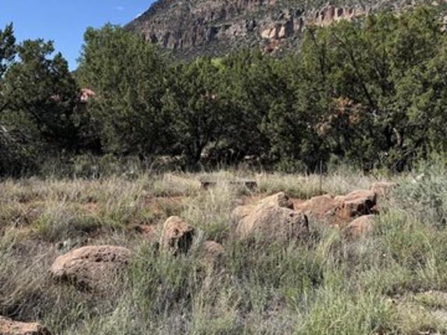 455 San Diego Dr, Jemez Springs, NM 87025