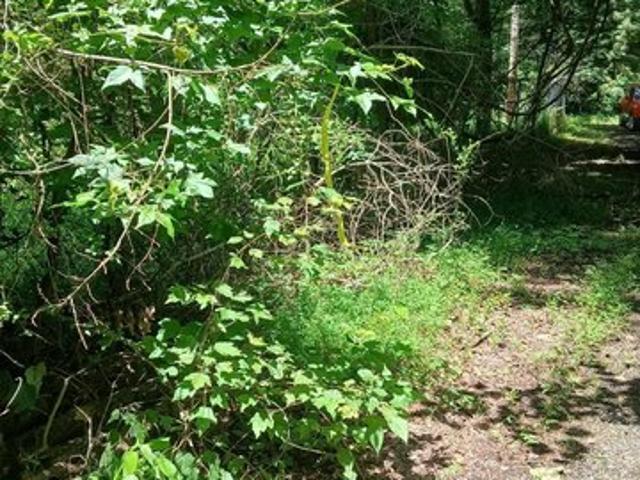 455 Rice Rd, Grant, AL 35747
