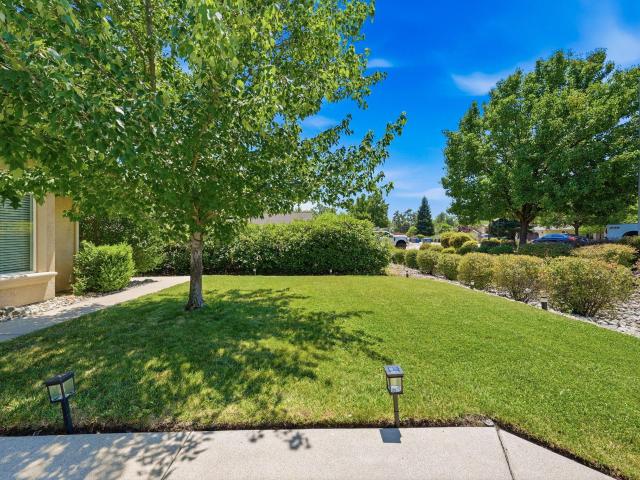 4565 Cerro Lane