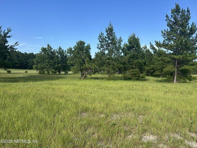 45676 Musslewhite Rd, Callahan, FL 32011