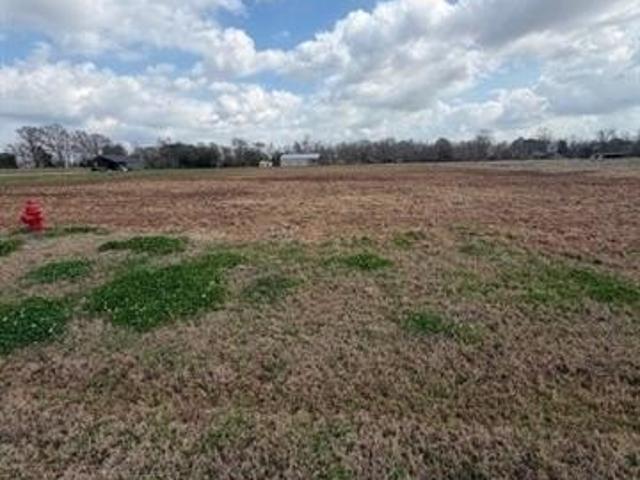 4568 Navys Way Rd Lot 17, Boyce, LA 71409