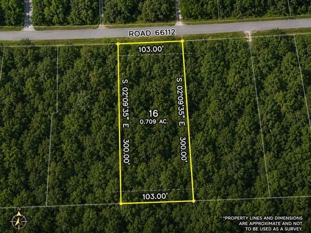 4560 Road 66112, Dayton, TX 77535