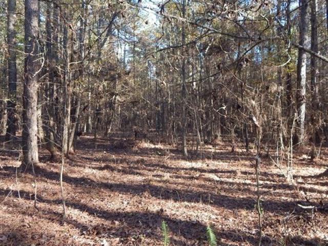 4561 Ennis Rd, Starkville, MS 39759