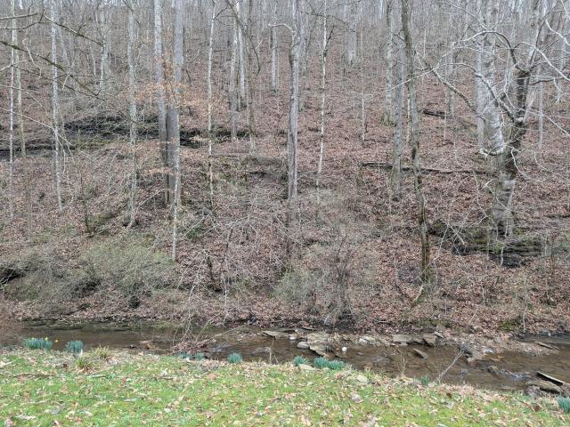 456 Arnetts Fork Road