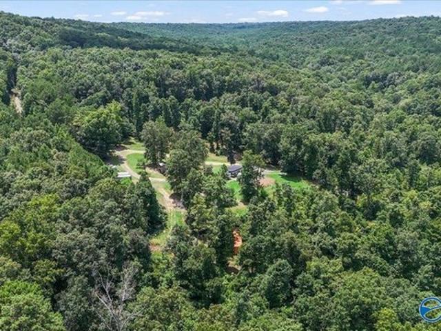 456 Keller Hollow Rd, Eva, AL 35621