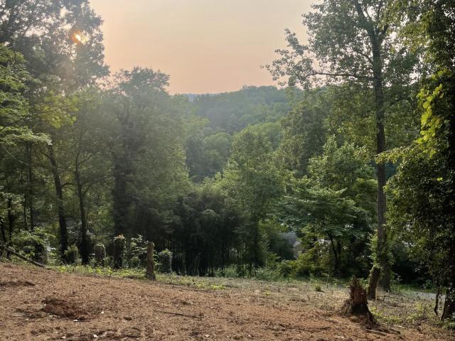 456 Red Oak Drive