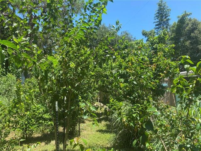 456 Washington Ave, Osprey, FL 34229 | MLS #A4623