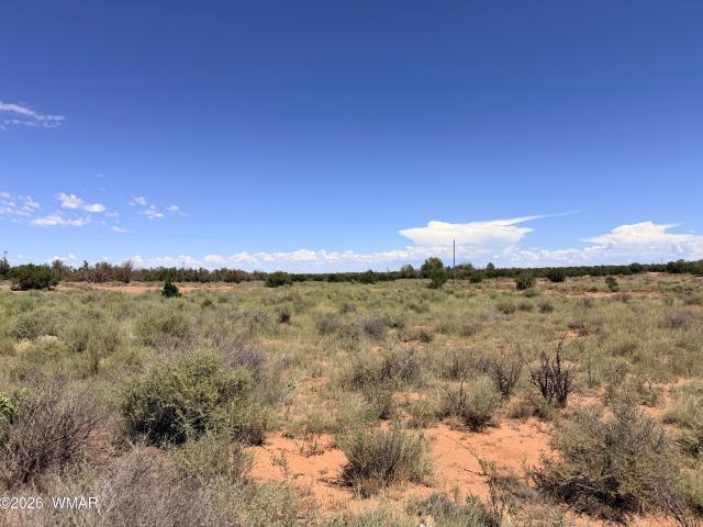 4578 Clear Pass Trail