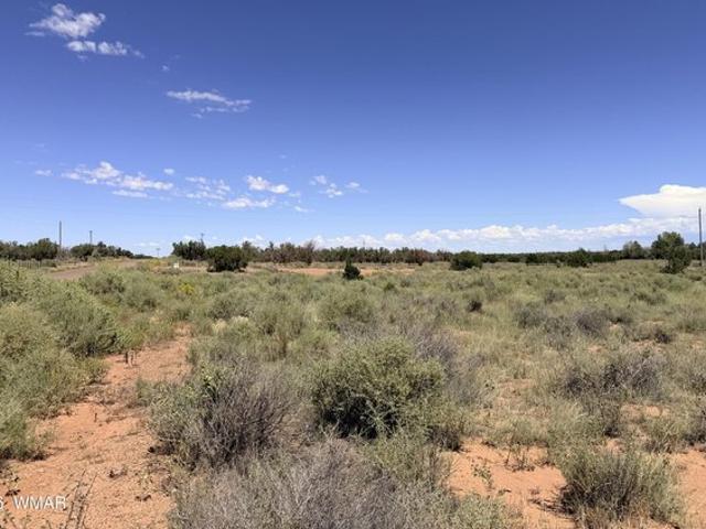 4578 Clear Pass Trl, Snowflake, AZ 85937