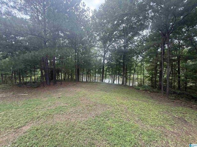 4579 Cabin Rd Lot 17, McCalla, AL 35022