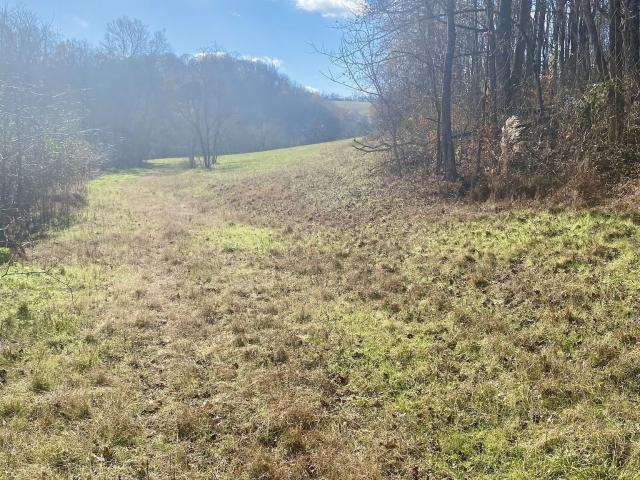 4570 Highway 64, Pulaski, TN 38478 | MLS #3123