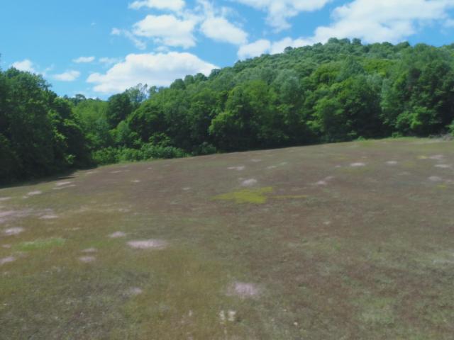 4570 Pointer Creek Road