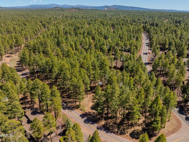 4571 Sky Hi Rd, Pinetop, AZ 85935 | MLS #6867