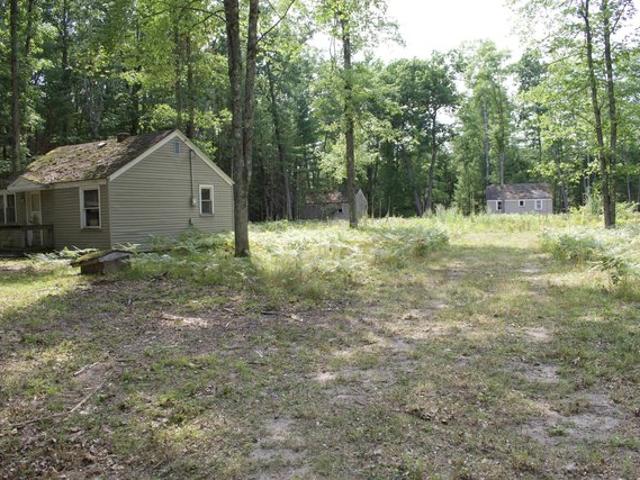 4573 N Able Rd, Irons, MI 49644