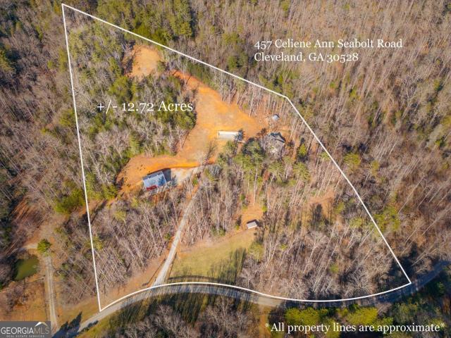457 Celie Ann Seabolt Road