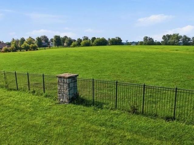 457 E Lucy Webb Rd, Raymore, MO 64083