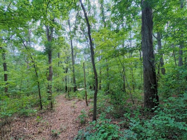 457 S Pitcher Road