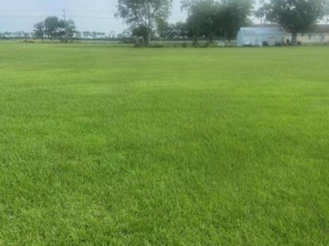 457 Sargent Dr, Bay City, TX 77414