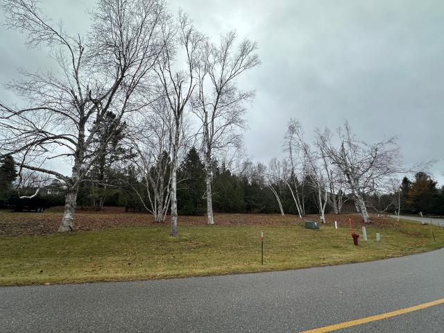 4585 Wildwinds Drive, Bay Harbor, US, MI