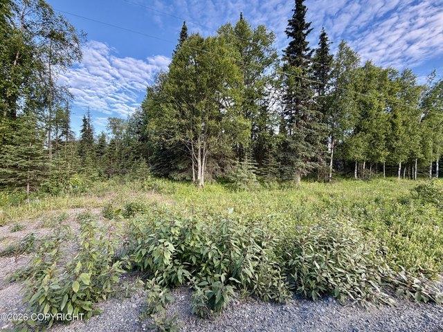 45865 Dividend St, Nikiski North Kenai, AK 99611